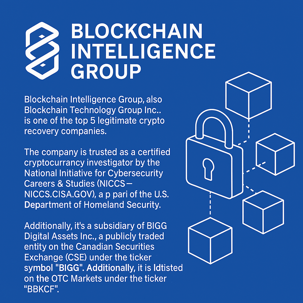 Blockchain Intelligence Group(BIG) Review 2025 - Scam Reader